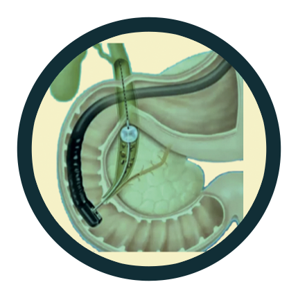 Exames – Gastro Center